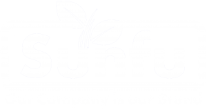 Home - Sunfu Solutions, Inc.